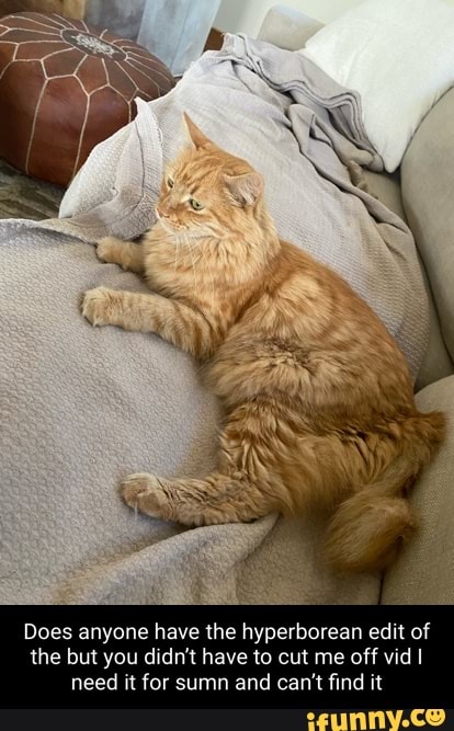 Does anyone have the hyperborean edit of the but you didn't have to cut ...