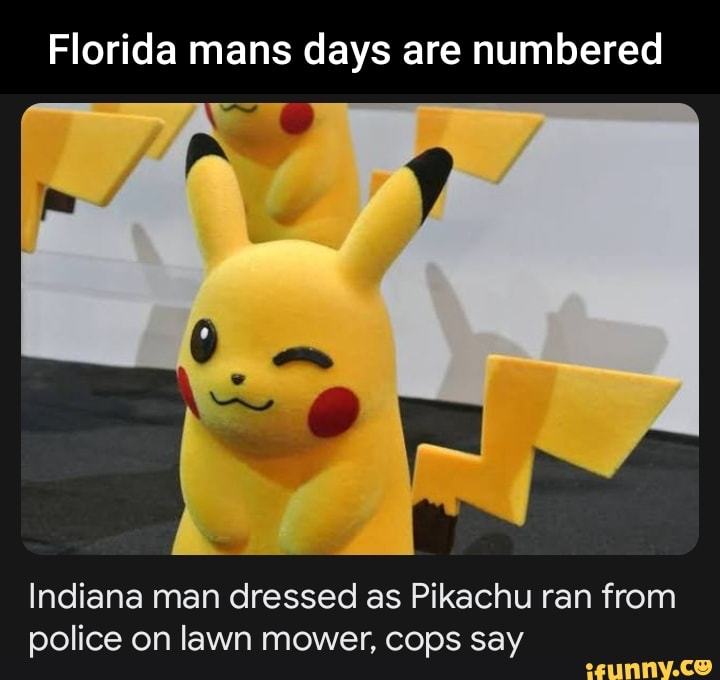 Florida mans days are numbered Indiana man dressed as Pikachu ran from ...