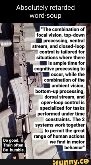 Absolutely retarded word-soup "The combination of focal vision, top ...