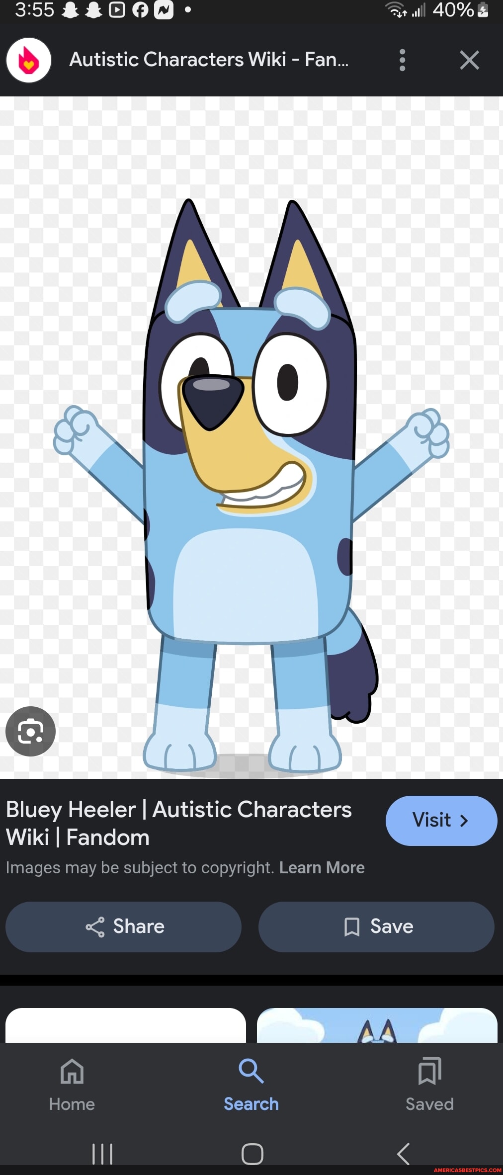 Autistic Characters Wiki - Fan... Bluey Heeler I Autistic Characters ...