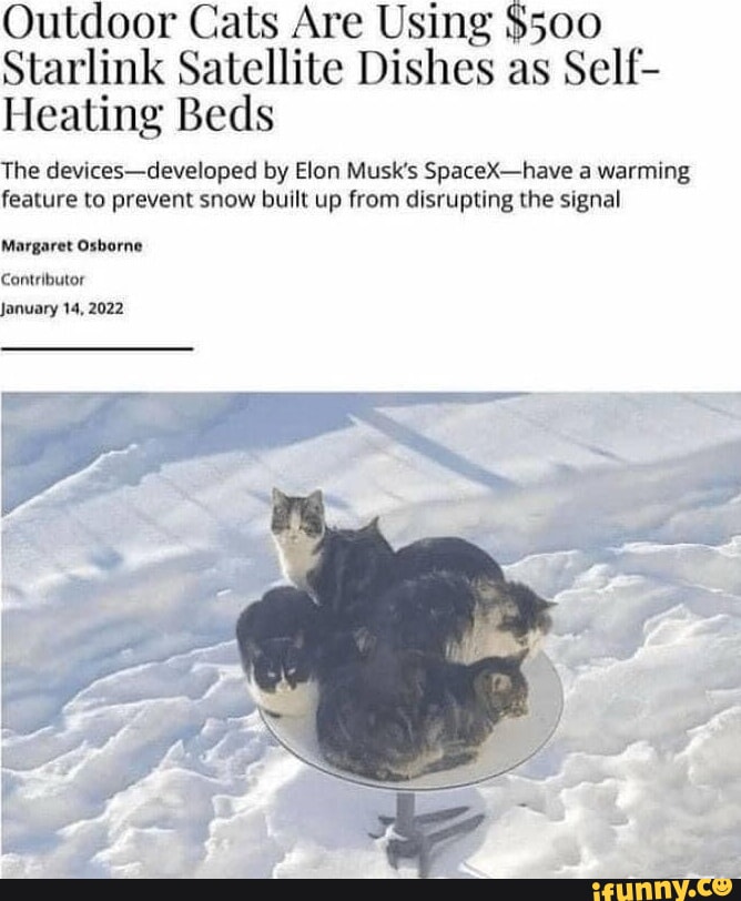 Starlink memes. Best Collection of funny Starlink pictures on iFunny