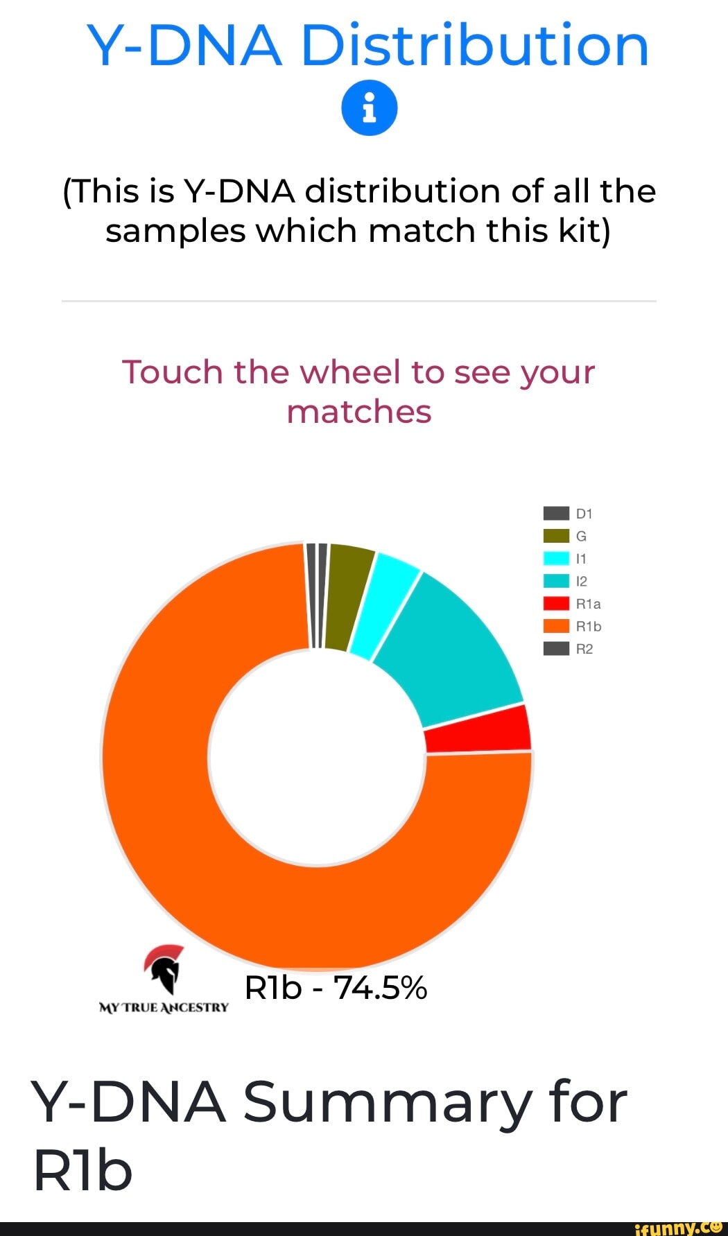 Y-DNA Distribution (This is Y-DNA distribution of all the samples which ...