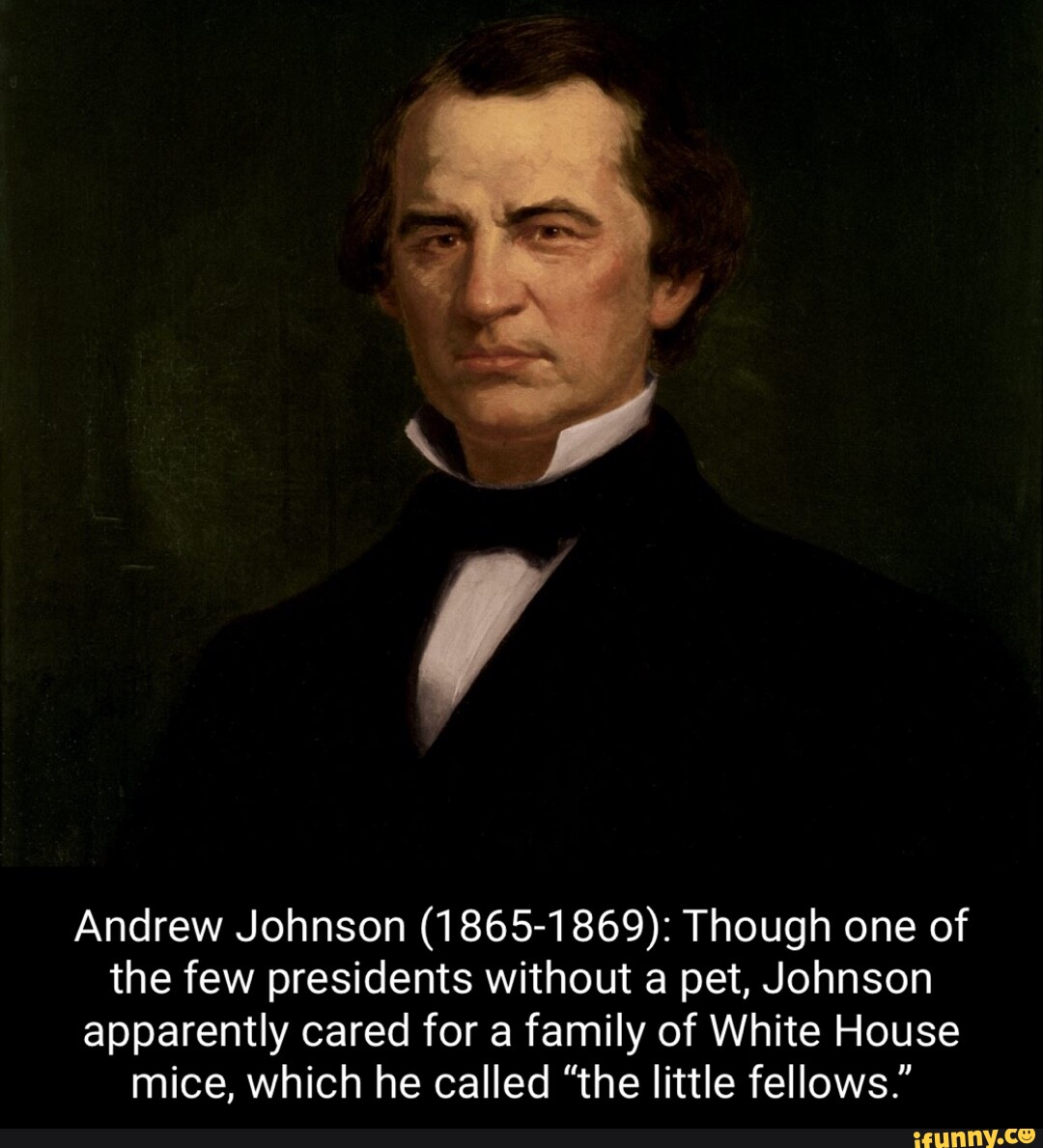 FF Andrew Johnson (1865-1869): Though one of the few presidents without ...