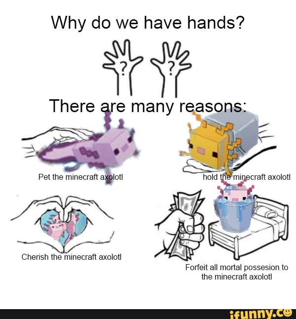 Minecraftaxolotls memes. Best Collection of funny Minecraftaxolotls ...
