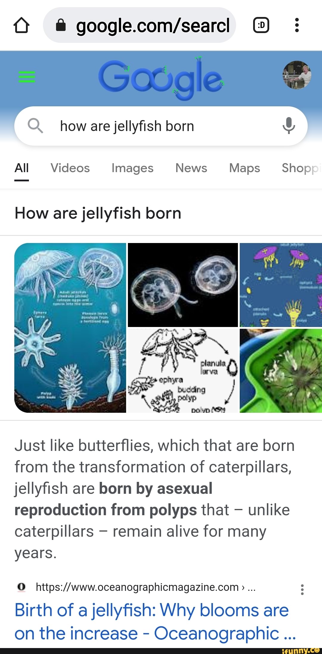 Polyps memes. Best Collection of funny Polyps pictures on iFunny