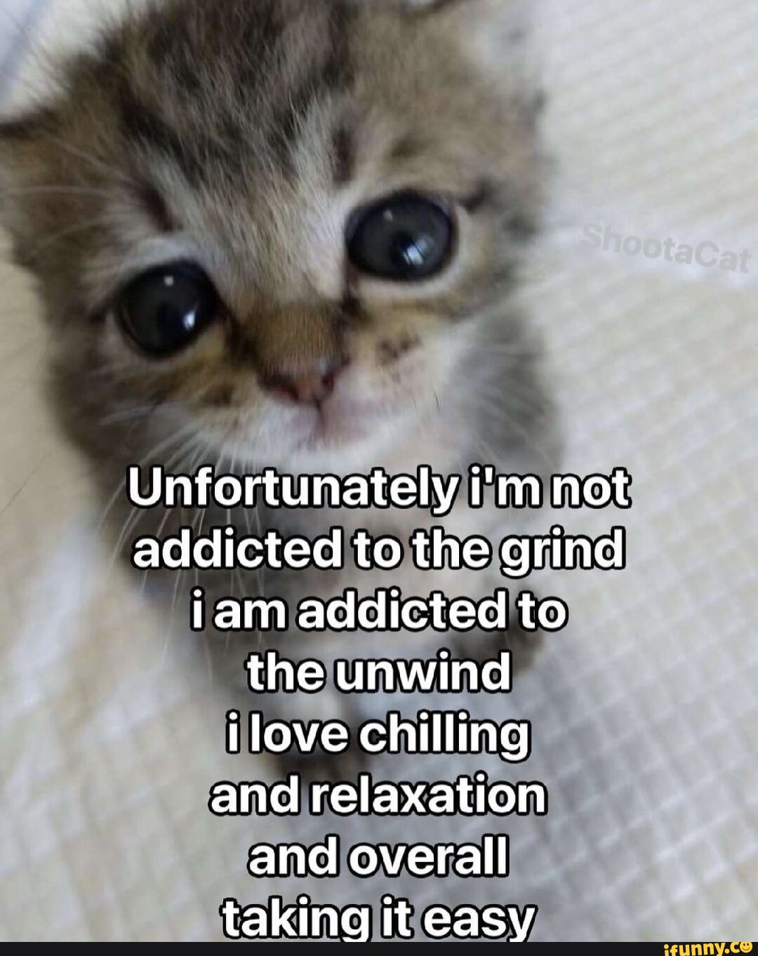 Courtney Barnes Ms. Miami💋👑 on Instagram - iFunny