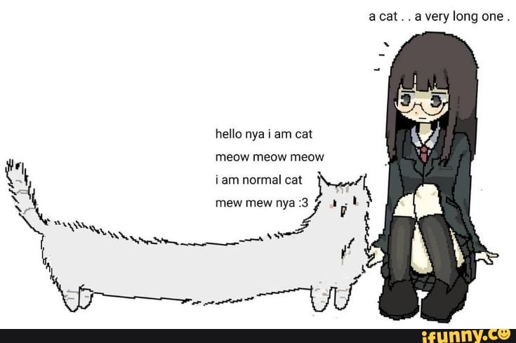 Hello nya am cat Meow meow meow yam normal cat mew mew nya acat a very ...