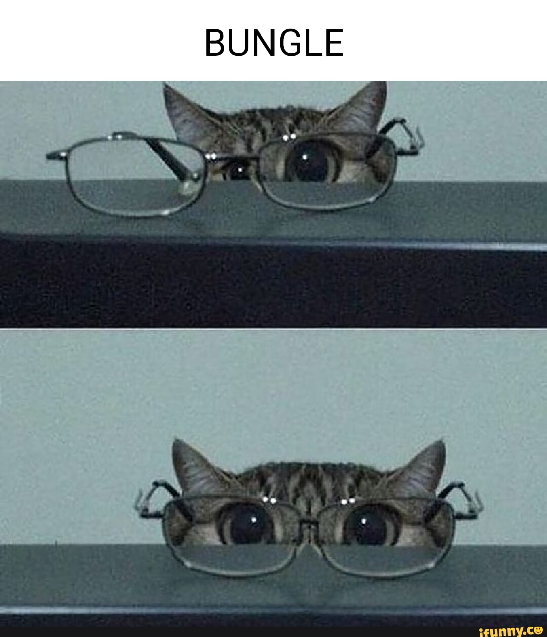 Bungle memes. Best Collection of funny Bungle pictures on iFunny