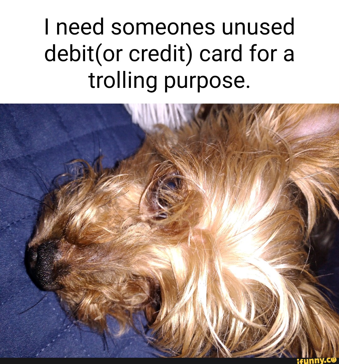 I need someones unused credit) card fora trolling purpose. [FY - iFunny