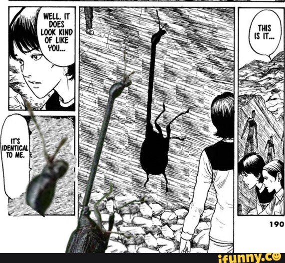 Bugposting memes. Best Collection of funny Bugposting pictures on iFunny