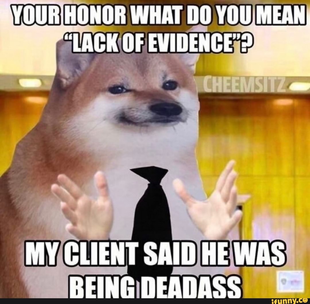 YOUR HONOR WHAT DO YOU MEAN LACK OF MY CLIENT SAID HE WAS REINGC