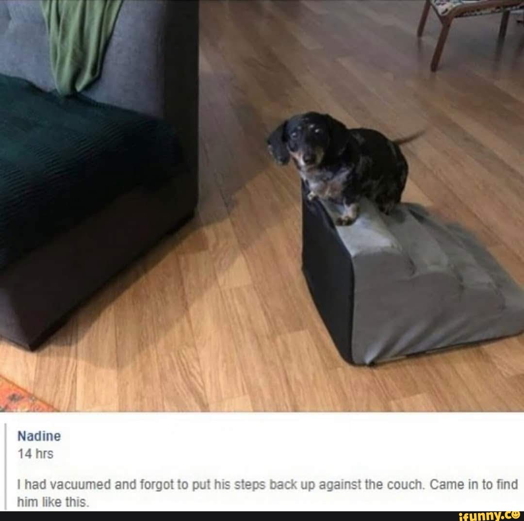 Nadine memes. Best Collection of funny Nadine pictures on iFunny