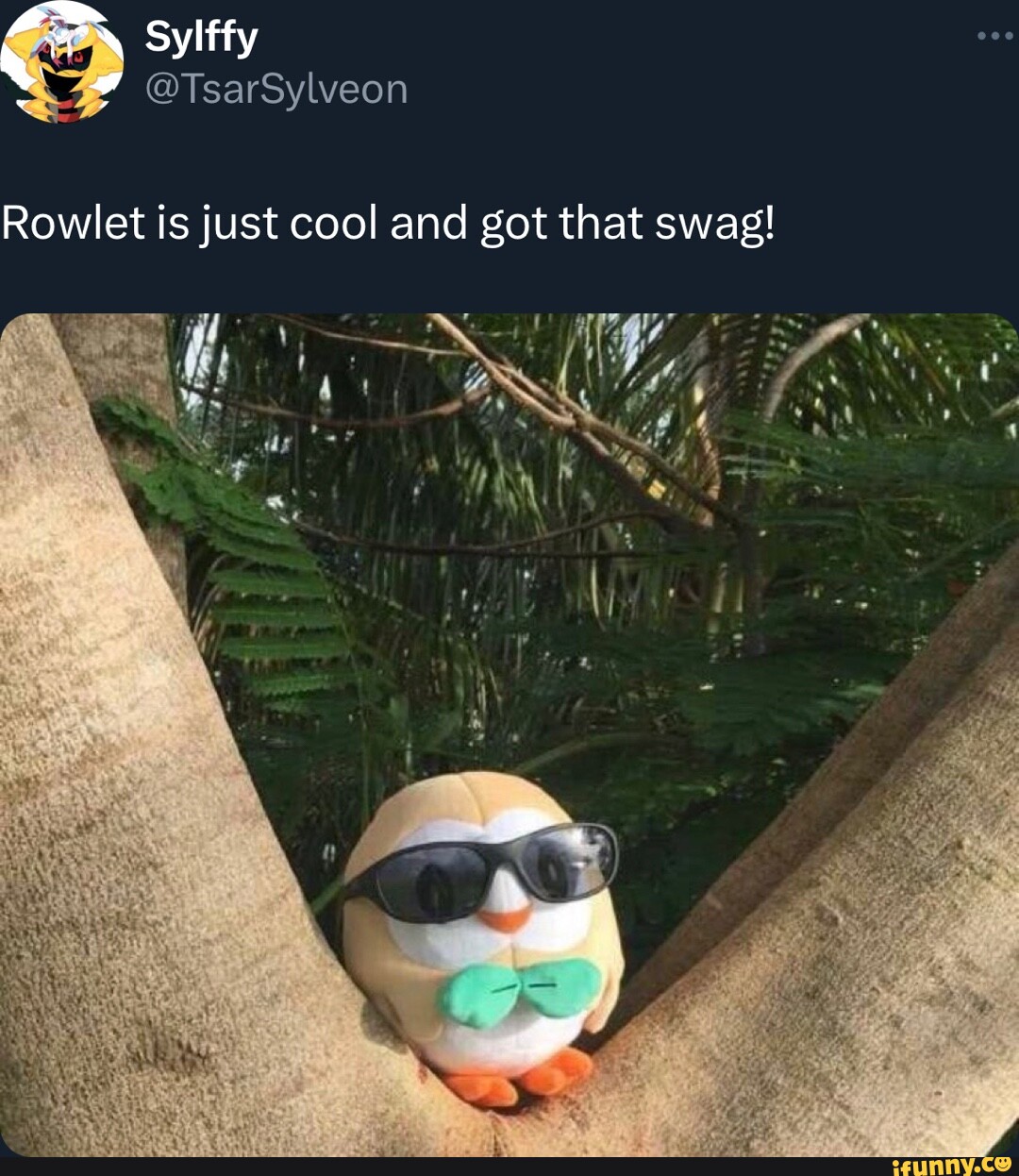 Rowlet memes. Best Collection of funny Rowlet pictures on iFunny
