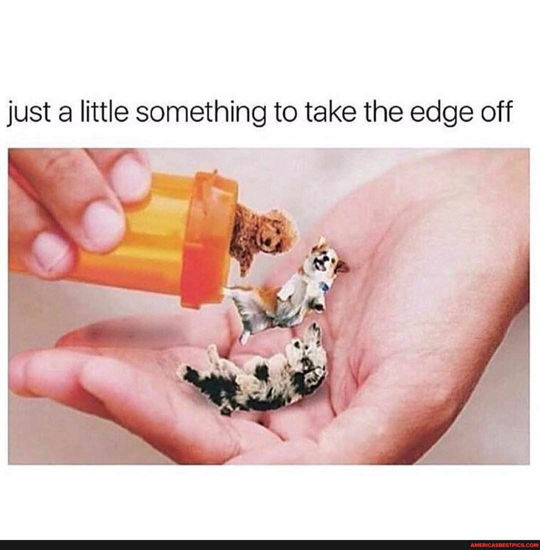 #wholesome_memes - just a little something to take the edge off ...