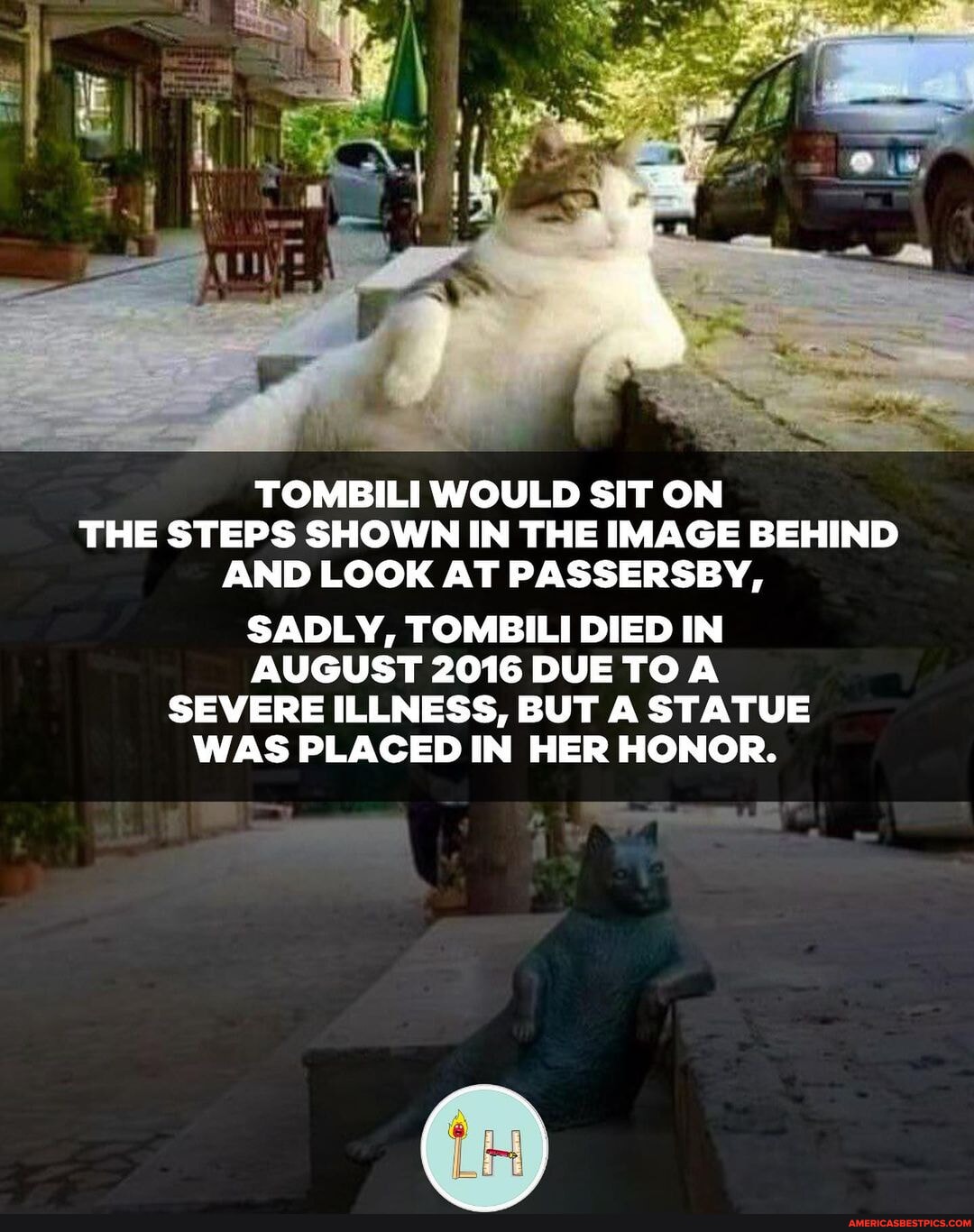 Tombili ️ - TOMBILI WOULD SIT ON THE STEPS SHOWN IN THE IMAGE BEHIND ...