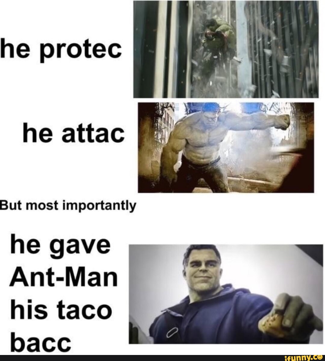 He protec he attac But most importantly he gave Ant-Man his taco bacc ...