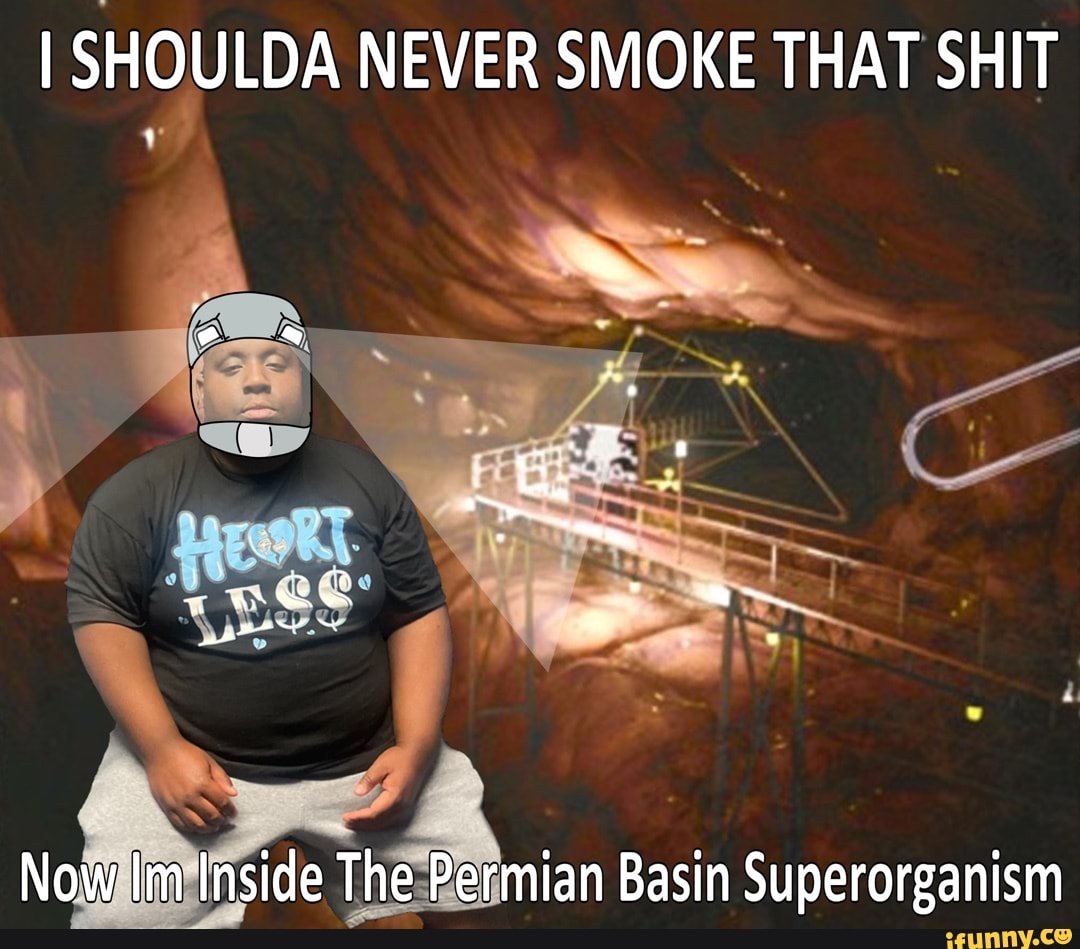 Permeanbasin memes. Best Collection of funny Permeanbasin pictures on ...