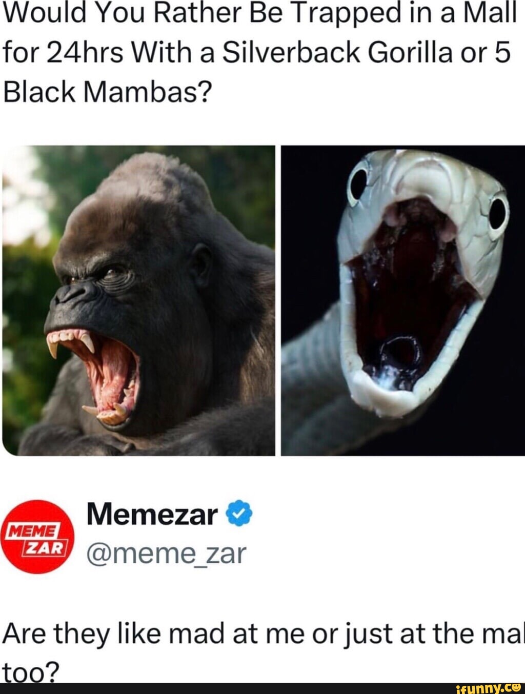 Mall memes. Best Collection of funny Mall pictures on iFunny