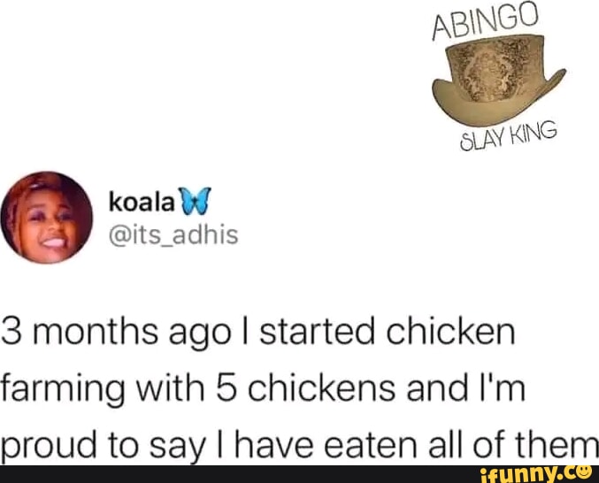 3 months ago I started chicken farming with 5 chickens and I'm proud to ...