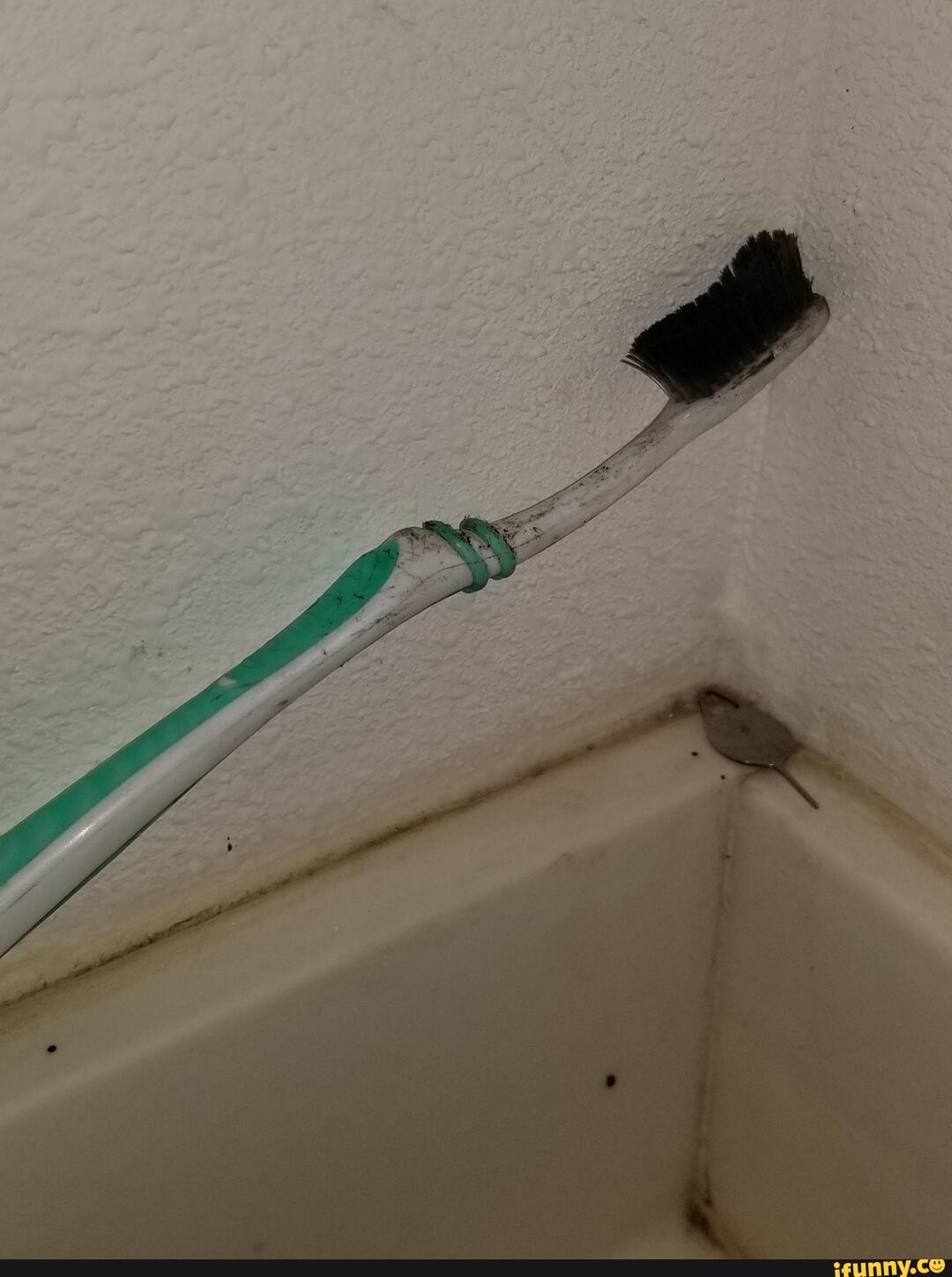 Cursed_toothbrush memes. Best Collection of funny Cursed_toothbrush ...