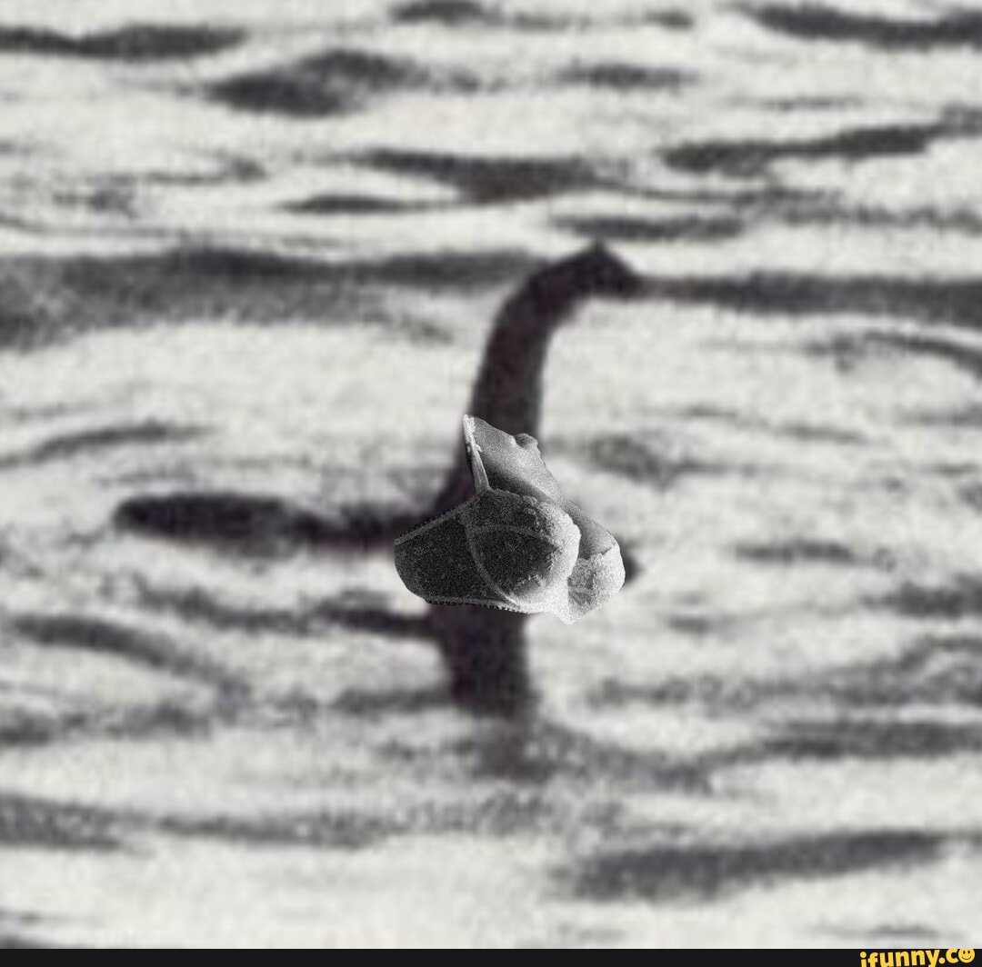 Cryptids memes. Best Collection of funny Cryptids pictures on iFunny