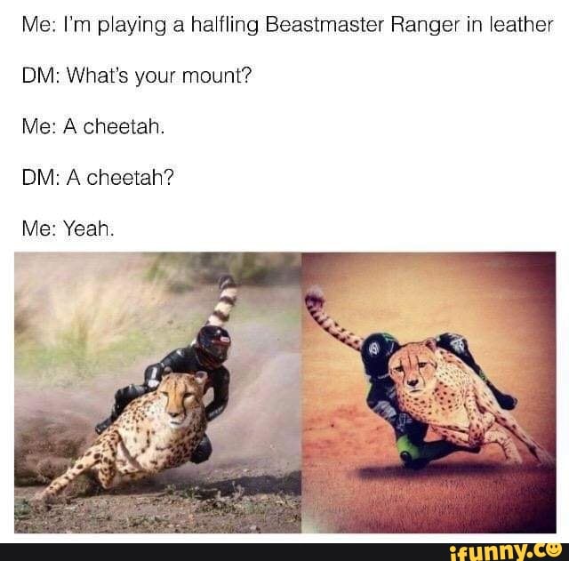Me: I'm playing a halfling Beastmaster Ranger in leather OM: What's ...