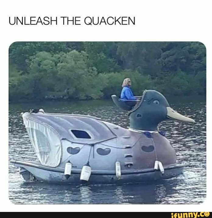 Quacken memes. Best Collection of funny Quacken pictures on iFunny