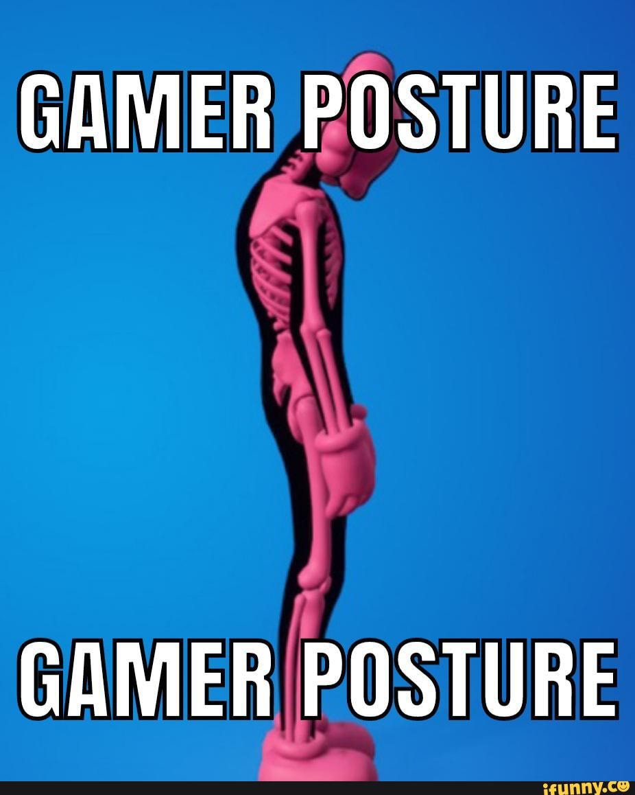 GAMER POSTURE GAMER POSTURE - iFunny