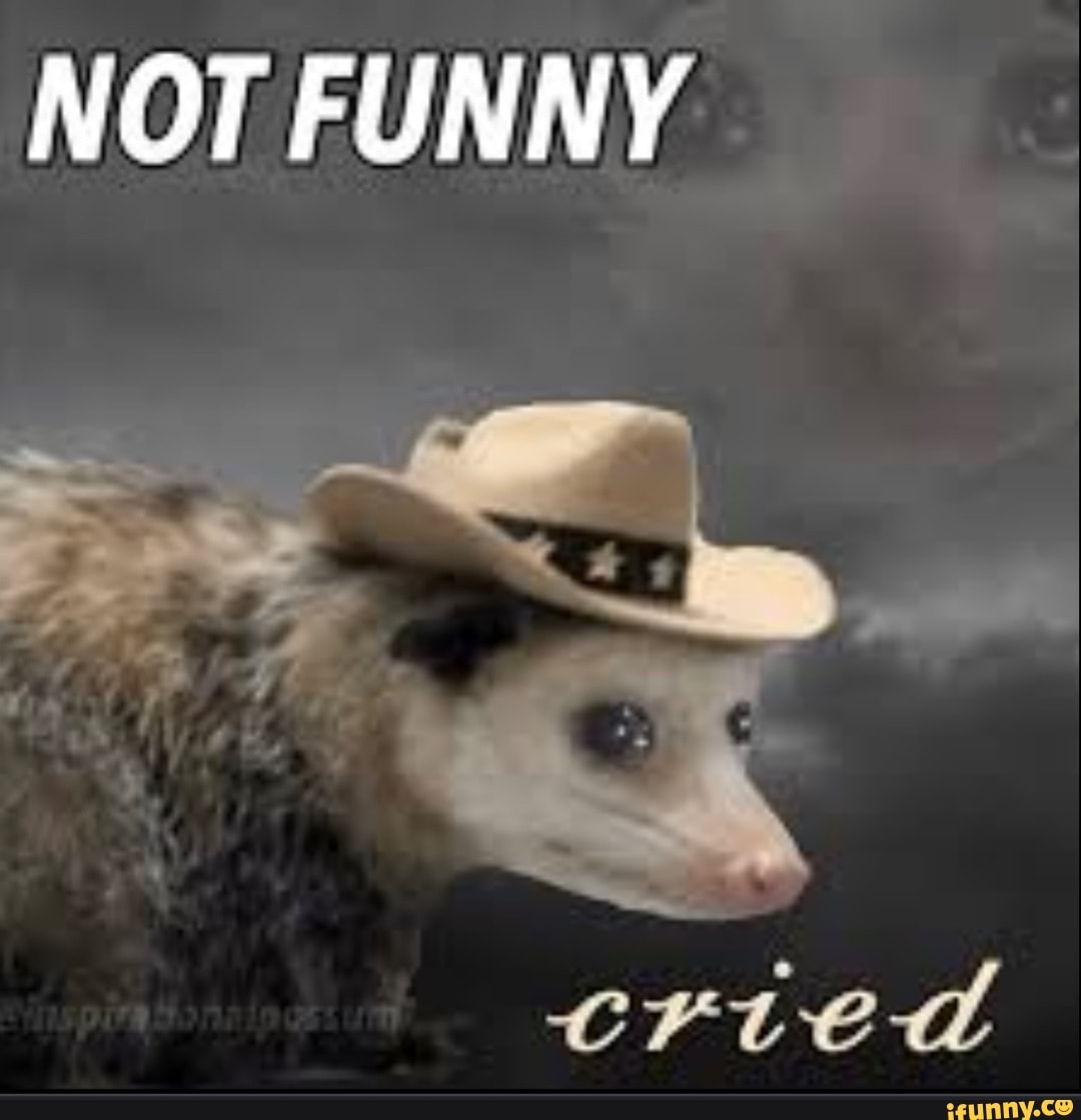 Cowboy memes. Best Collection of funny Cowboy pictures on iFunny