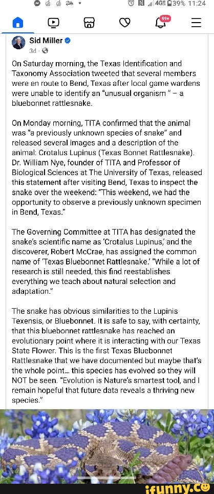 Taxonomy memes. Best Collection of funny Taxonomy pictures on iFunny