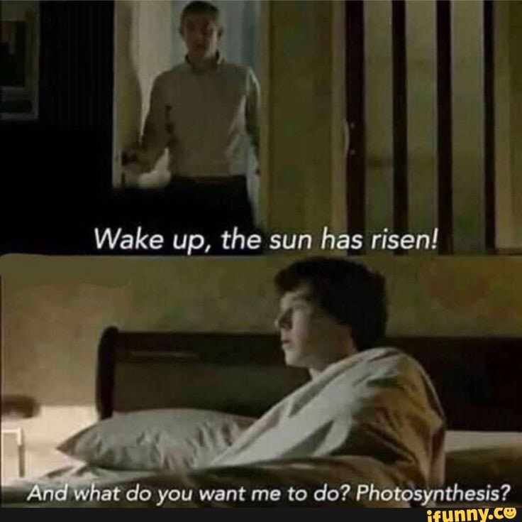 Wake up, the sun has risen! And what do you want me to de ...