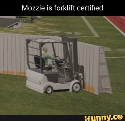 Mozzie is forklift certified La - iFunny