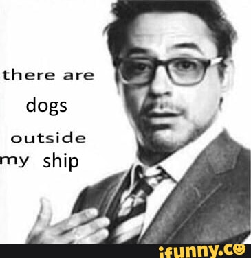 There are dogs outside my ship - iFunny