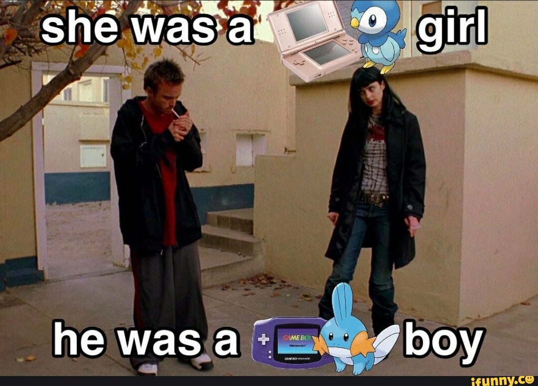 Piplup memes. Best Collection of funny Piplup pictures on iFunny