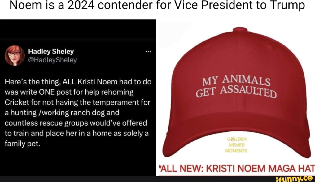 Noem memes. Best Collection of funny Noem pictures on iFunny