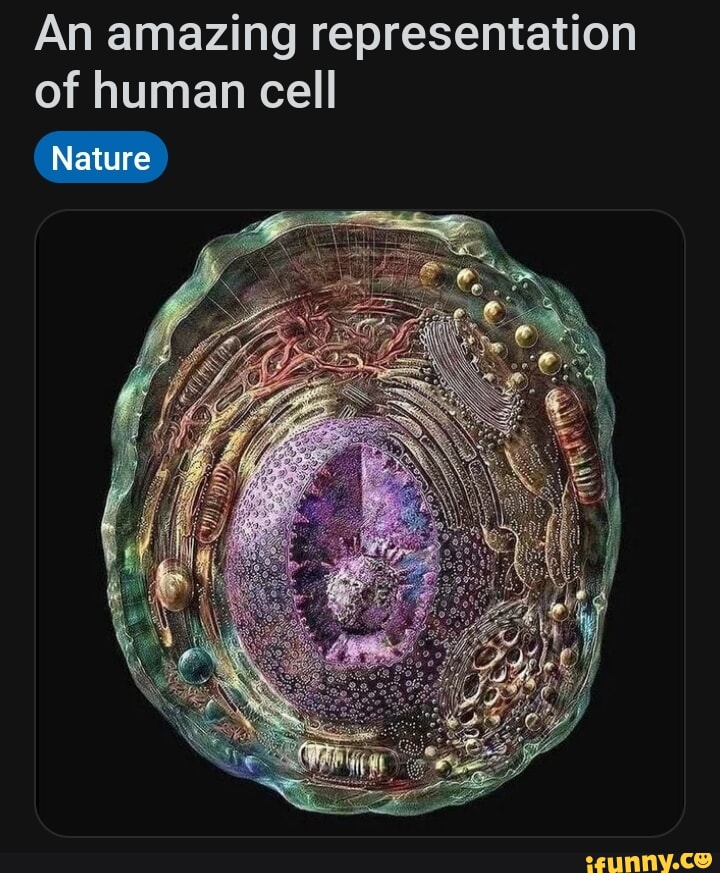 An amazing representation of human cell Nature - iFunny