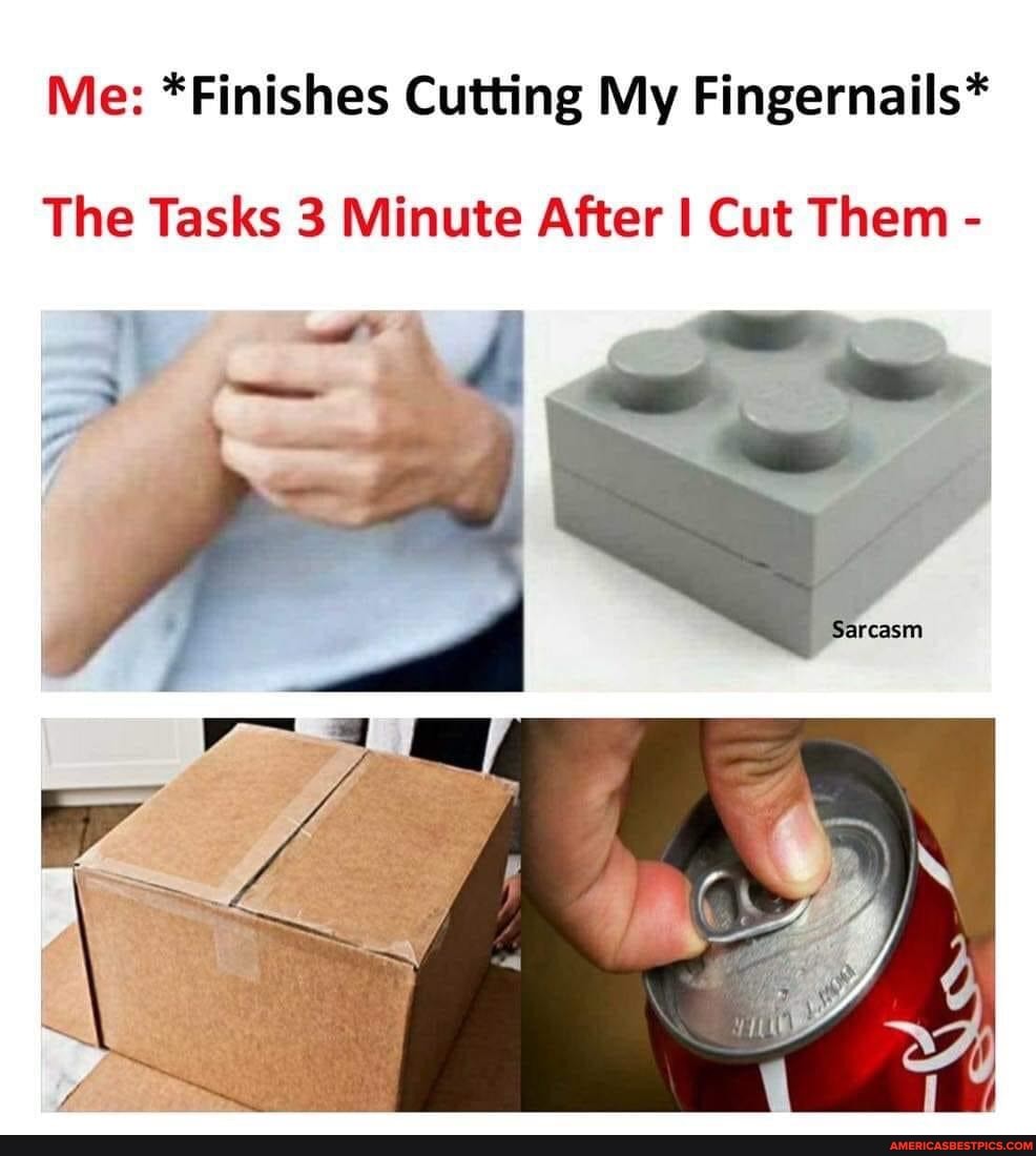 Me: *Finishes Cutting My Fingernails* The Tasks 3 Minute After I Cut ...