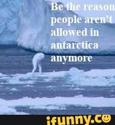 Tica memes. Best Collection of funny Tica pictures on iFunny