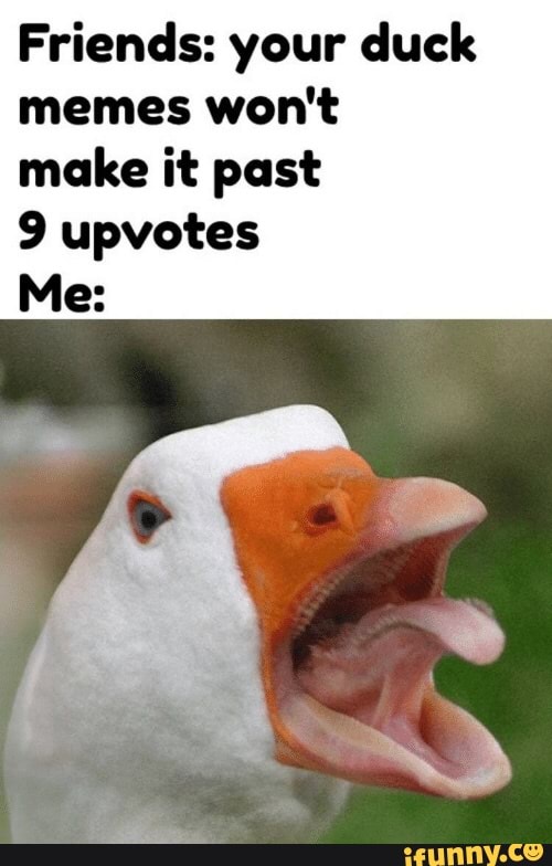 Friends: your duck memes won’t make it past 9 upvotes Me: - iFunny