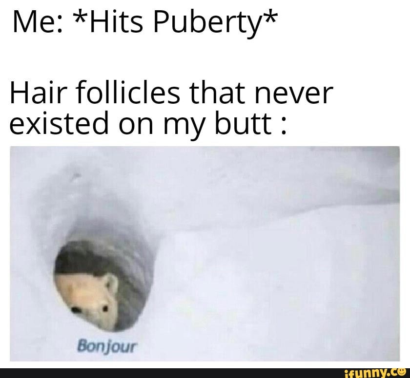 Me: *Hits Puberty* Hair follicles that never existed on my butt ...