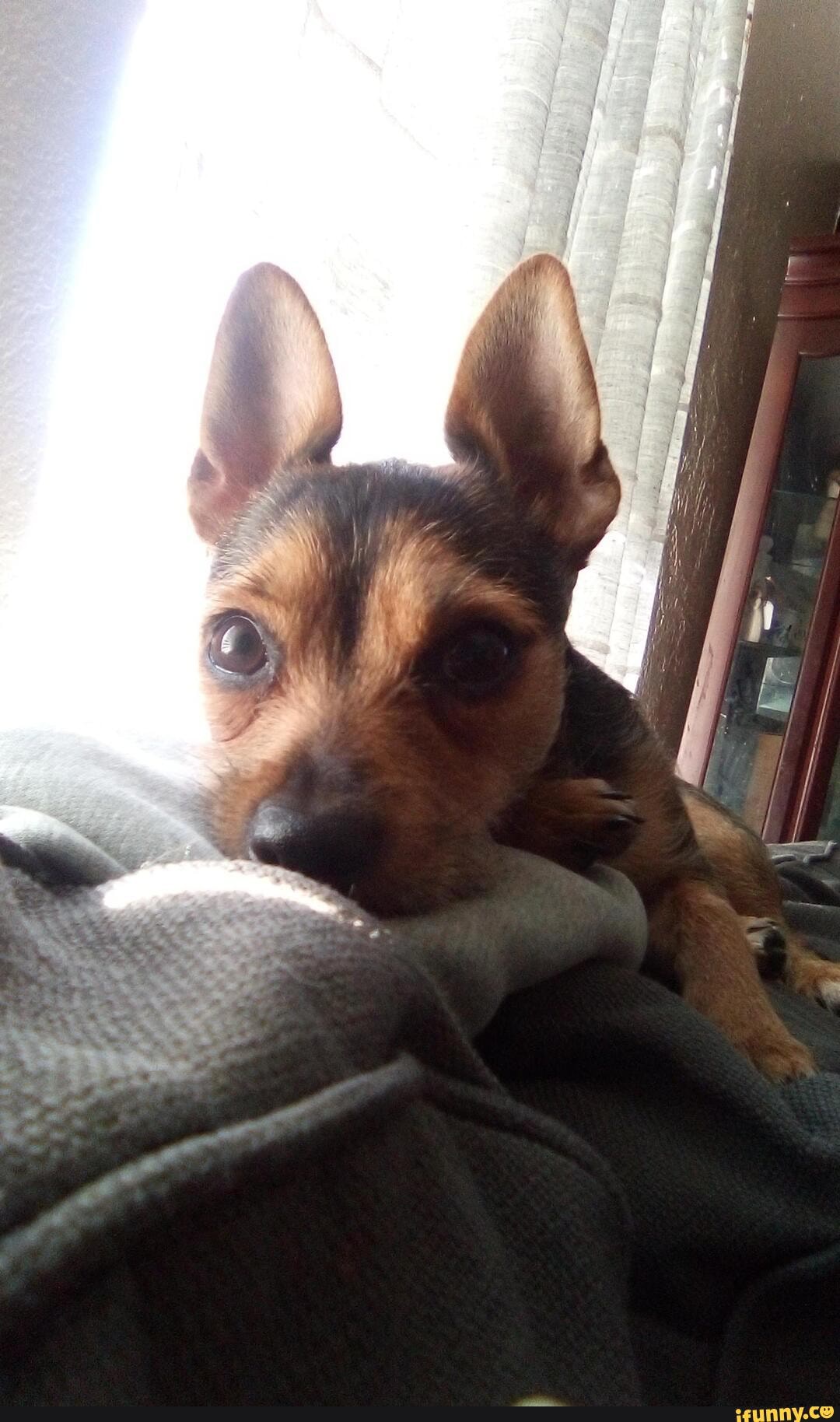 Minji memes. Best Collection of funny Minji pictures on iFunny