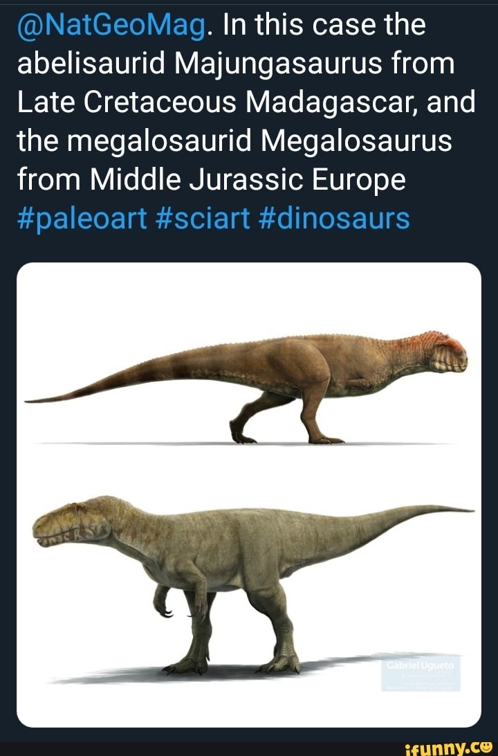 Majungasaurus memes. Best Collection of funny Majungasaurus pictures on ...