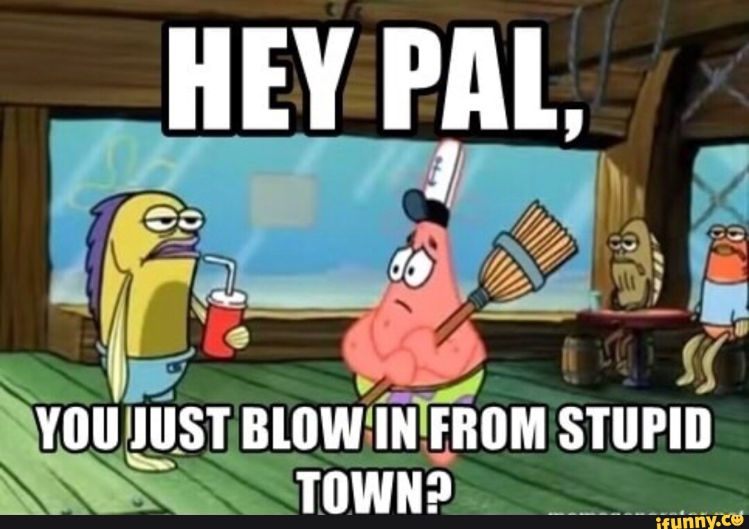 HEY PAL, YOU JUST BLOW IN FROM STUPID TOWN? - iFunny