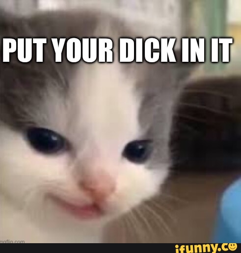 Init memes. Best Collection of funny Init pictures on iFunny