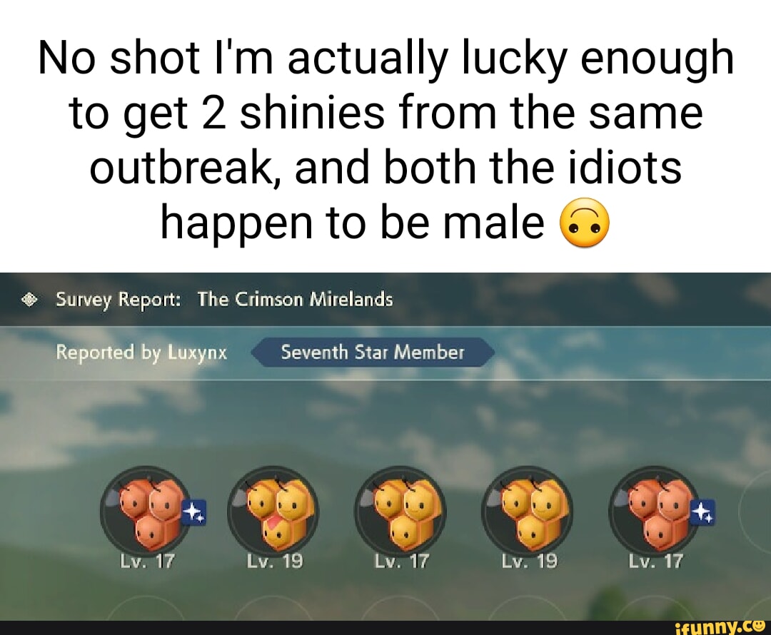 Combee memes. Best Collection of funny Combee pictures on iFunny