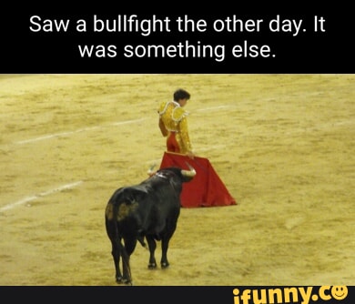 Bullfighter Memes File:Phonsavan Hmong New Year Bullfight.jpg