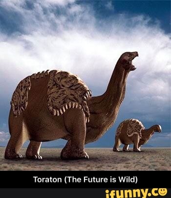 Toraton memes. Best Collection of funny Toraton pictures on iFunny
