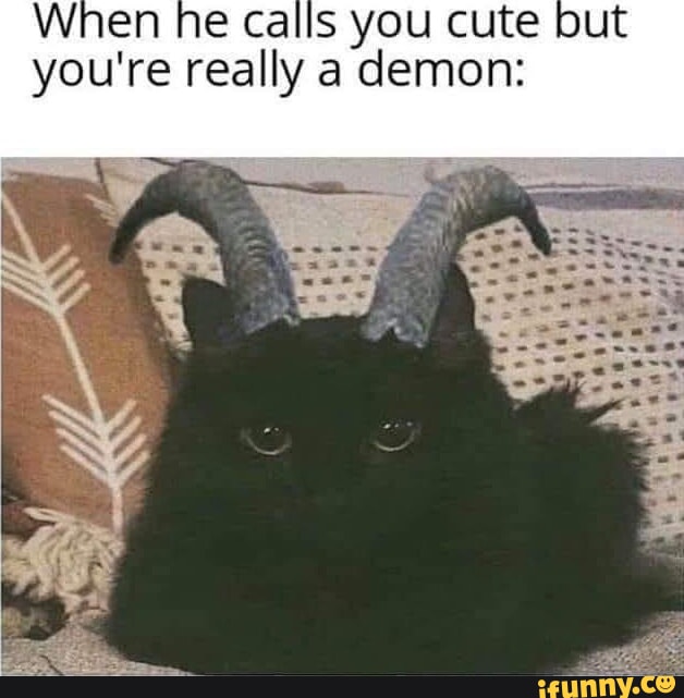When he calls you cute you're really a demon: - iFunny