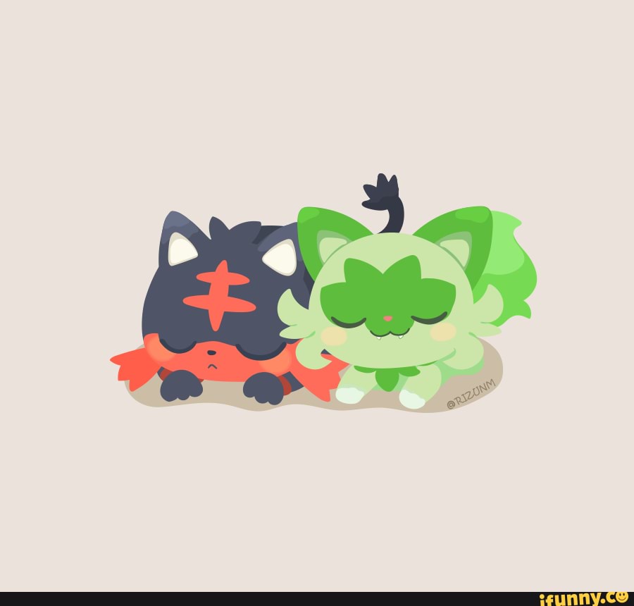 Litten memes. Best Collection of funny Litten pictures on iFunny