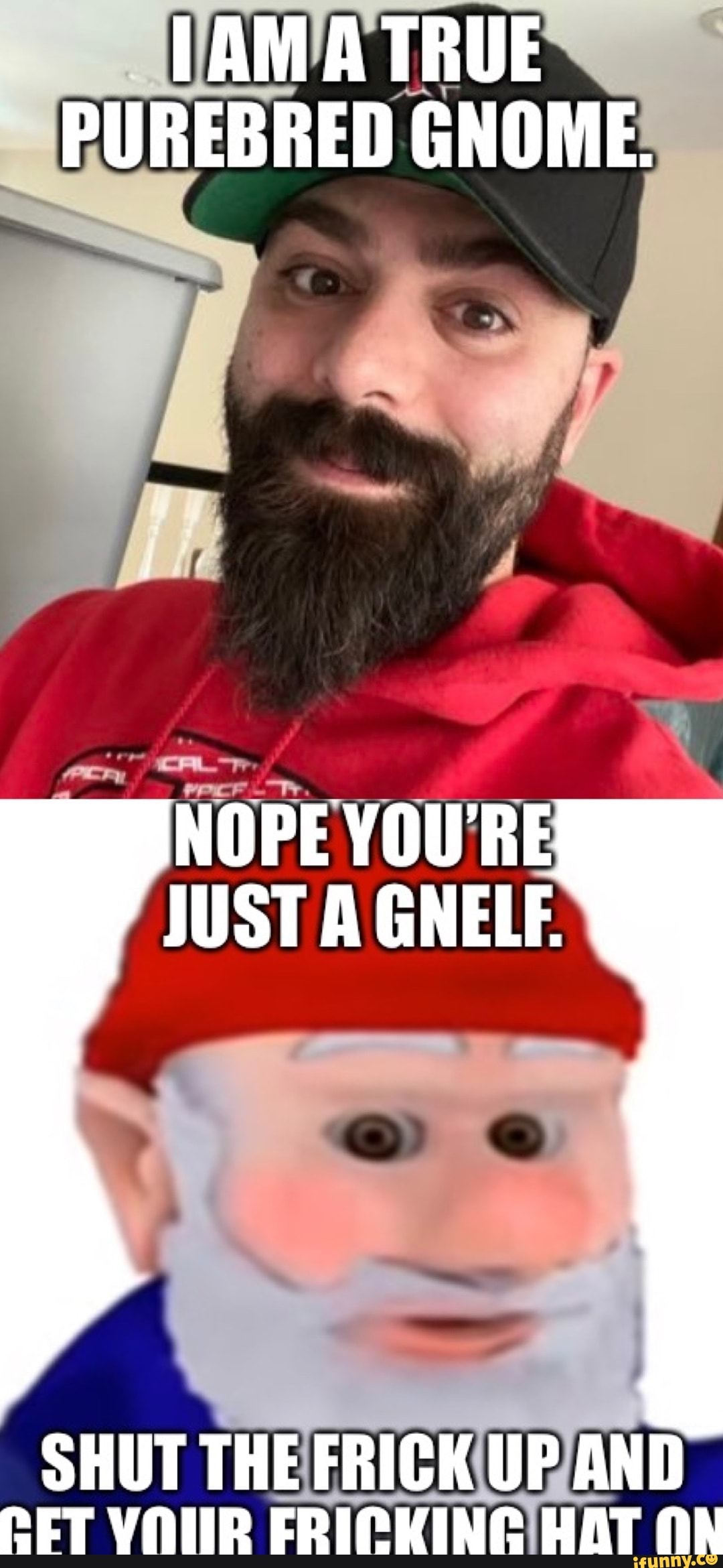 Gnelf memes. Best Collection of funny Gnelf pictures on iFunny